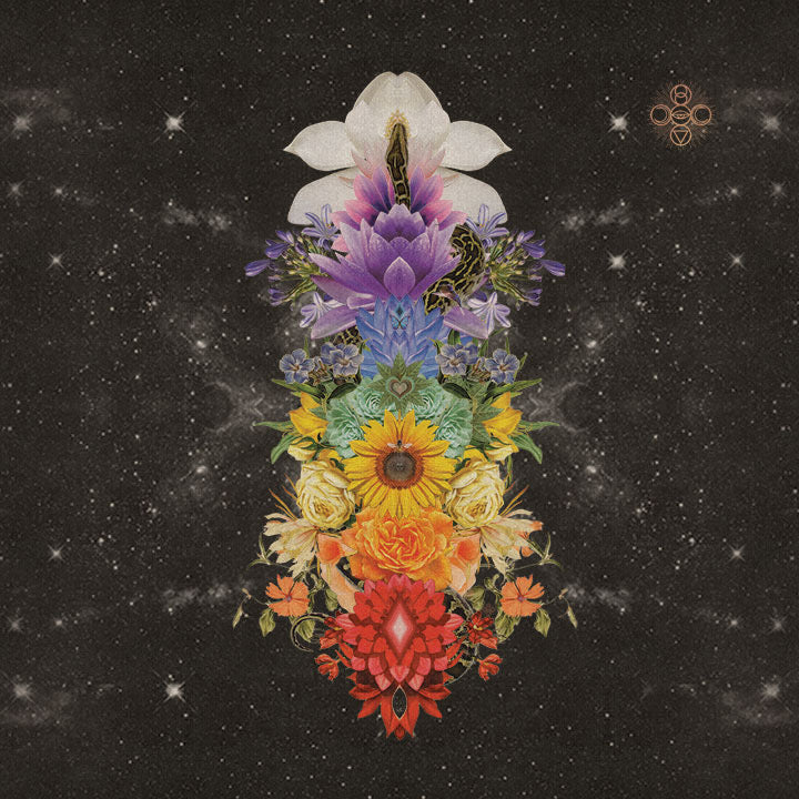 Kundalini Snake Floral Chakras 2024 Edition – Cosmic Collage