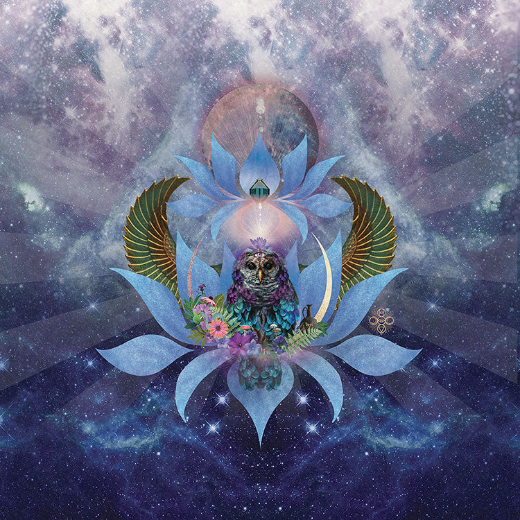 LSD with BLUE LOTUS- an accidental trip – Cosmic Collage